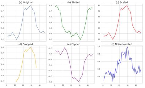 Extraction Of Features For Time Series Classification Using Noise Injection
