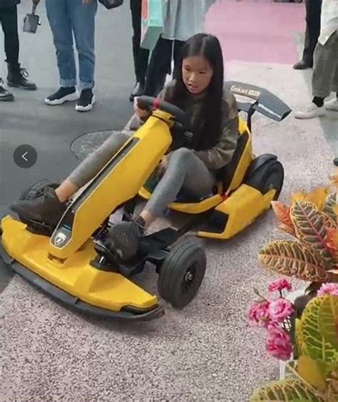 Bị Chê Mẹ Tiên Con Cú Con Gái 11 Tuổi Của Vi Quý Phi Nói 1 Câu Anti