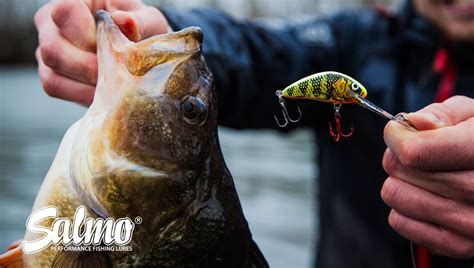 Salmo Hornet - Legendaariset pikkuvaaput