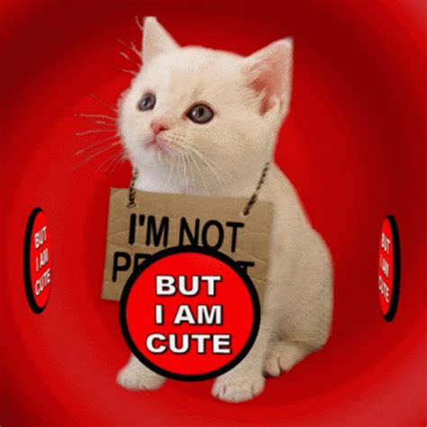 Im Not Perfect I Am Cute GIF Im Not Perfect I Am Cute Im Cute Discover And Share GIFs