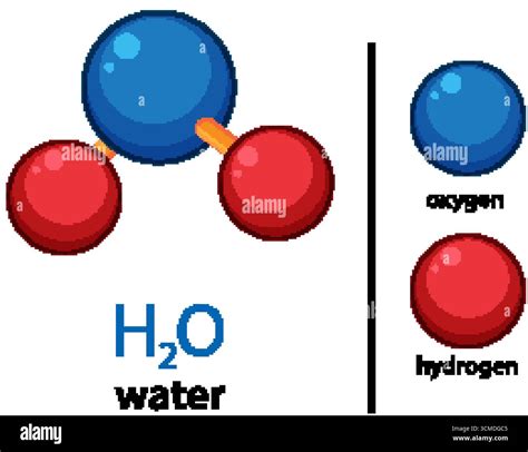 Vector Illustration Of H2o Molecule With Labeled Oxygen And Hydrogen Atoms Flat Style Stock