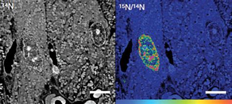 Dynamic Secondary Ion Mass Spectrometry Wiley Science And Engineering Content Hub