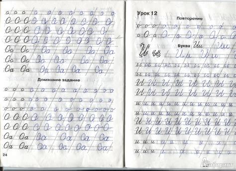 Книга Мои первые школьные прописи В 4 х частях Часть 1 Узорова Нефедова Купить книгу