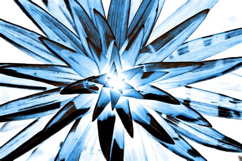 종이에 수채화 불꽃놀이입니다 Whatman 종이에 추상 화려한 이미지입니다 별 모양 브러쉬 그린의 상상의 꽃입니다 예술적 배경입니다 색상 흰색 캔버스에 그림입니다 생생한