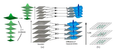 Gaussian Pyramid Smoothing And Subsampling B Selection Of Extrema Download Scientific