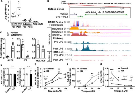 Tissue Specific Differential Expression Of Novel Genes And Long
