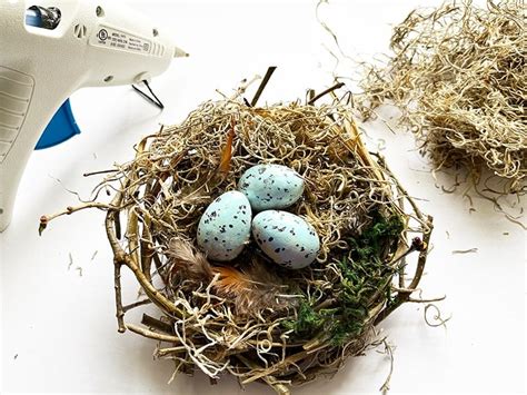 Learn How To Make A Decorative Bird S Nest