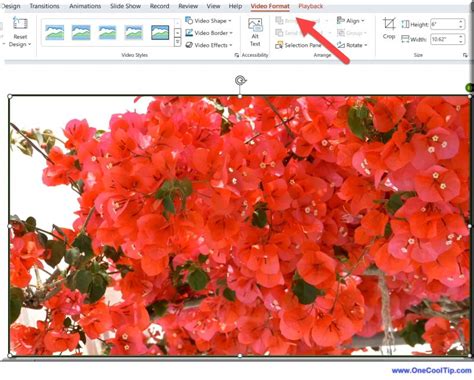 One Cool Tip On Linkedin Microsoft Powerpoint Powerpointtips