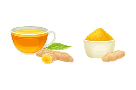 생강 차와 파우더 세트 한 잔 향기로운 허브 식물 에코 건강 슈퍼 푸드 벡터 일러스트 레이 션 강황에 대한 스톡 벡터 아트 및 기타 이미지 Istock