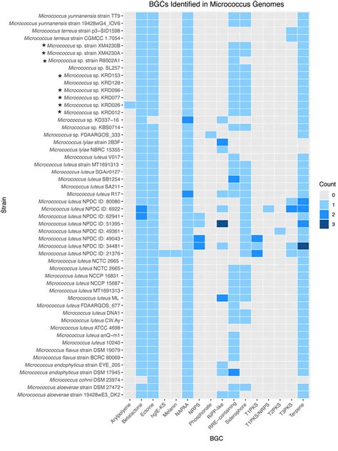Figure 2 From Micrococcus Spp As A Promising Source For Drug Discovery A Review Semantic Scholar