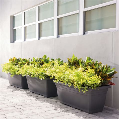 Long Rectangular Planter Boxes