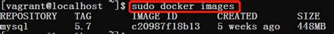 Docker 部署中间件总结（mysql、redis、elasticsearch、xxl Job、sentinel等）docker管理