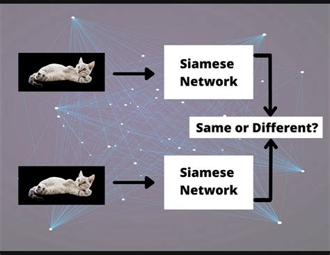 🌟 Learn About Siamese Neural Networks Secret Agents On A Mission Abhijeet Anand Posted On