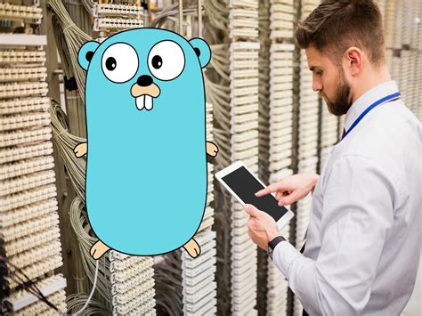 Your Go Golang Application Deployed To Cloud Platforms Upwork