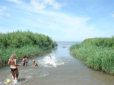 La Teoria De L Iceberg Janka