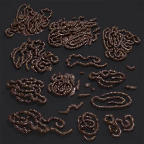 Intestines Piles 3d Model By Get Dead Entertainment