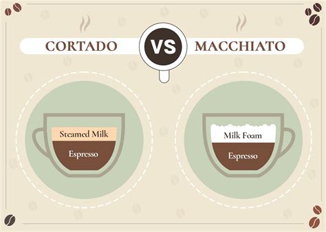 Macchiato Vs Cortado What Are And Their Differences Latte 48 OFF