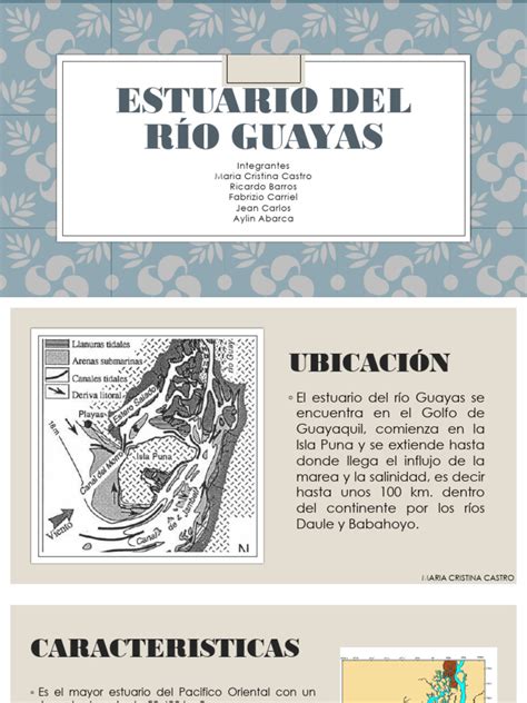 Manglares Del Estuario Del Río Guayas Pdf