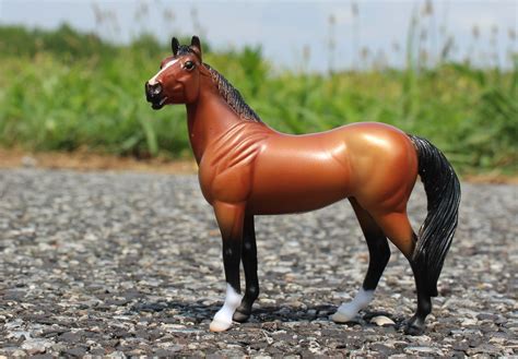 Quarter Horse Mares Lincolnshire Stables