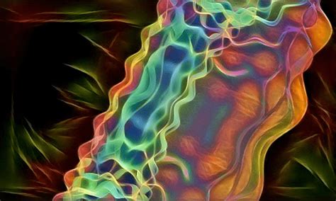Fractal Deep Dream Strange Attractor  By Cpgoncalves On Deviantart