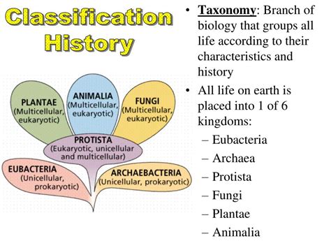 Ppt History Of Classification Powerpoint Presentation Free Download