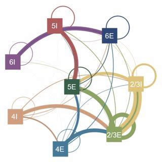 Circuit Diagram Of Model Showing Connections Between The Populations Of Download Scientific