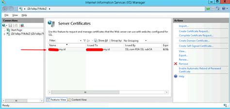 Cara Install SSL Di Server IIS Rumahweb Journal