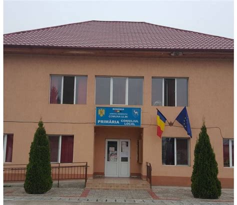 PrimĂria Comunei Ulmi AnunȚ Privind ÎnfiinȚarea Unui Centru De