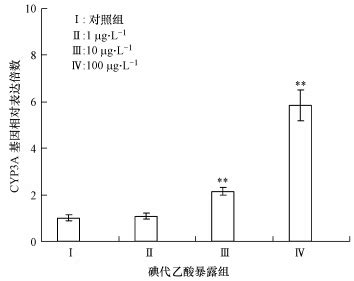 新型消毒副产物碘代乙酸急性暴露诱导斑马鱼肝脏氧化损伤的机理研究