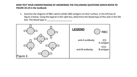 now test your understanding by answering the