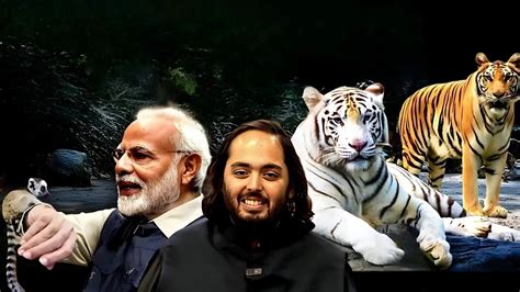 Vantara Ambani A New Era In Wildlife Conservation