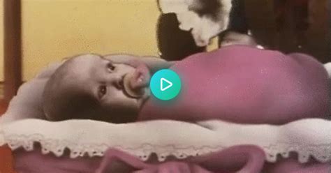 Monty Python  On Imgur