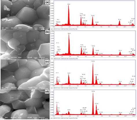 sem micrographs along with the edx patterns of a bf bt b bf bt 10cf