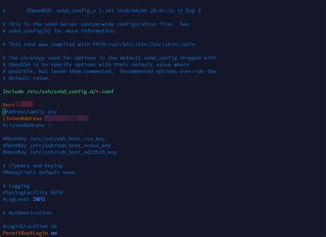 Ssh Security Protecting Your Linux Server From Threats Rdevopsish