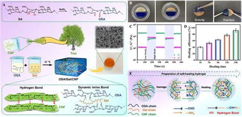 Nano Crosslinked Dynamic Hydrogels For Biomedical Applications Pmc