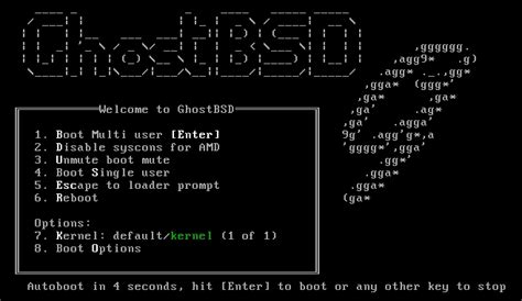 Installation Troubleshooting Ghostbsd Wiki