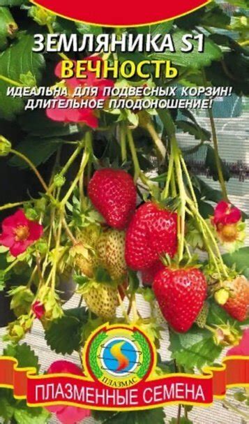 Семена Земляника S1 Вечность, 10 шт, Плазменные семена купить в Москве ...