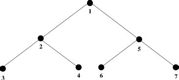 A Binary Tree Of Depth Download Scientific Diagram