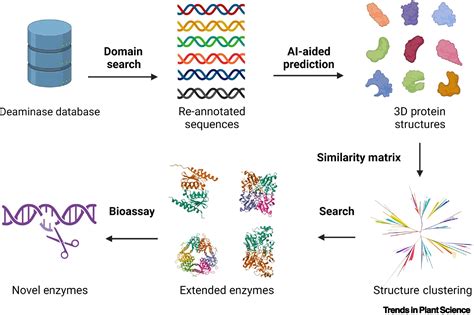 Genomics Refined Ai Powered Perspectives On Structural Analysis Trends In Plant Science