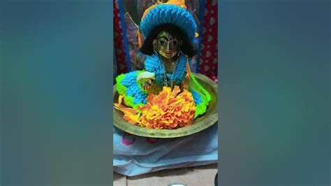 কৃষ্ণ কৃষ্ণ বল ময়না রাধা রাধা বল 🌺😍 Youtubeshorts Laddugopal Gopal Krishna Shorts