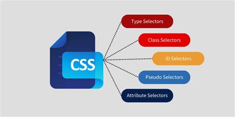 Selectors Targeting Specific Elements Using Css Dev Community