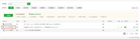 Python Flask 如何打包 Flask项目打包并部署bigrobin的技术博客51cto博客