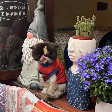 闻人听术全部小说作品闻人听术最新小说在线阅读闻人听术全部小说免费阅读 Qq阅读中文轻小说网