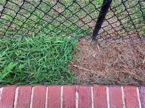 Rainbow Ecoscience On Linkedin Onmark Is Rainbows Easy To Mix Broad