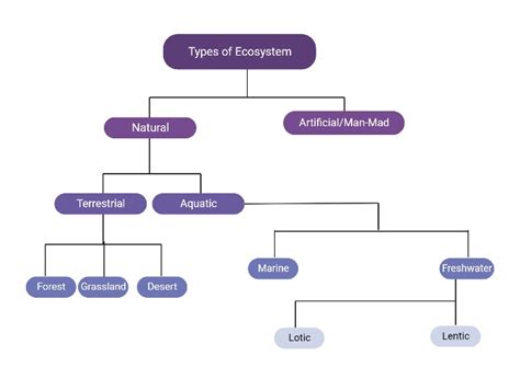 Structure And Function Of Ecosystems Definition Types Biology Notes Online