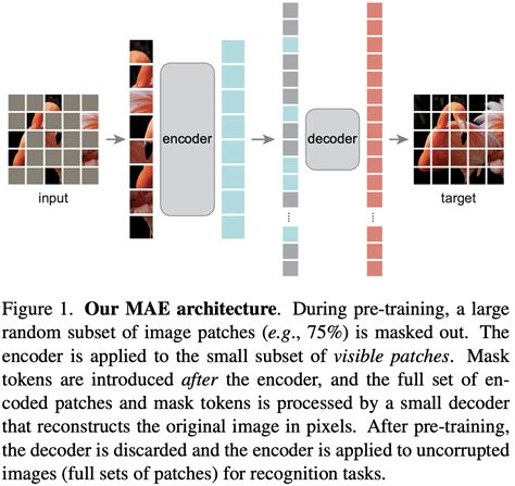 Pytorch笔记 Maemasked Autoencoders Pytorch源码mae Pytorch Csdn博客