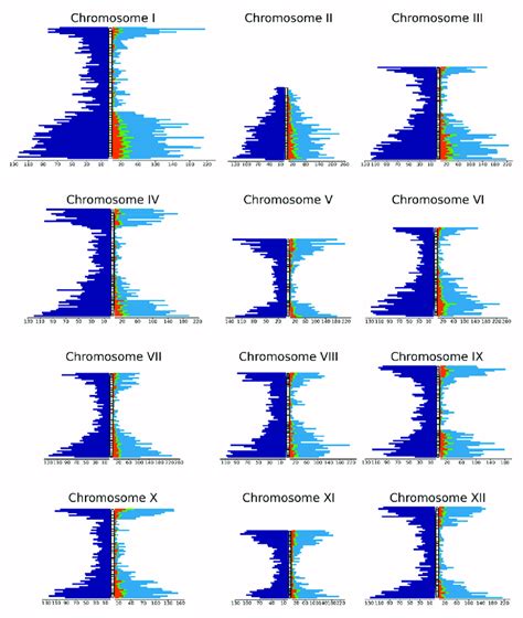Density Of Genes And Snp Markers Per Chromosome Each Bar Indicates Download Scientific Diagram