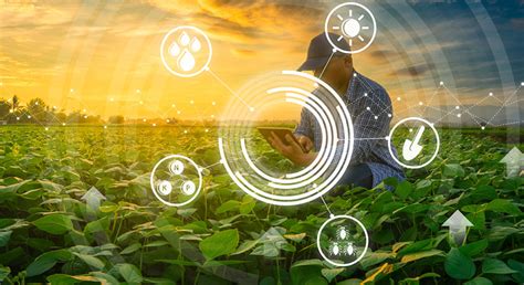 Continued Innovation At Agmatix Agmatix