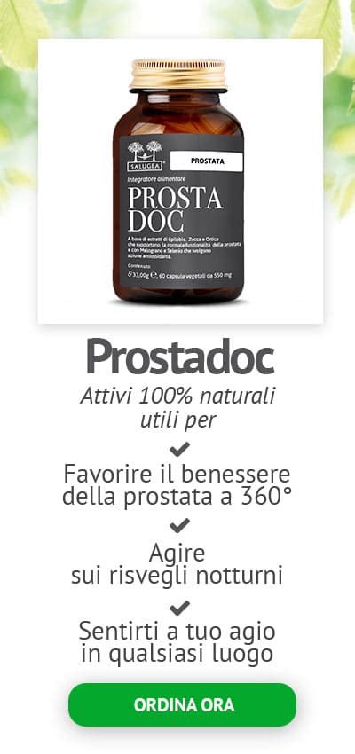 Prostata A Cosa Serve E Dove Si Trova
