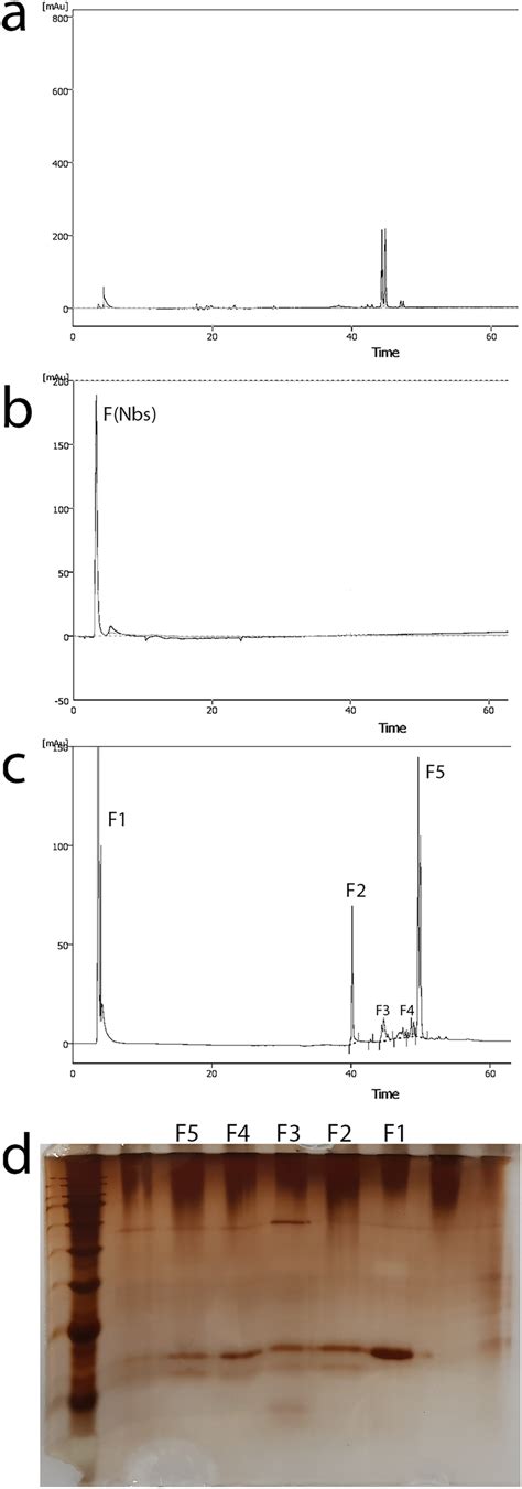 Reverse Phase High Performance Liquid Chromatography Rp Hplc